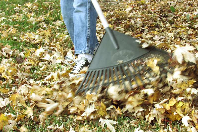 Fall leaf raking - Free stock photos, images & illustrations